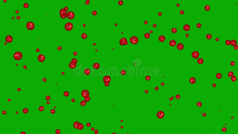Falling Red Berries Motion Graphics with Green Screen Background Stock ...