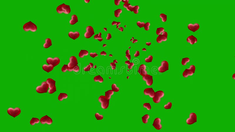 Red Hearts Motion Graphics with Green Screen Background Stock Video ...