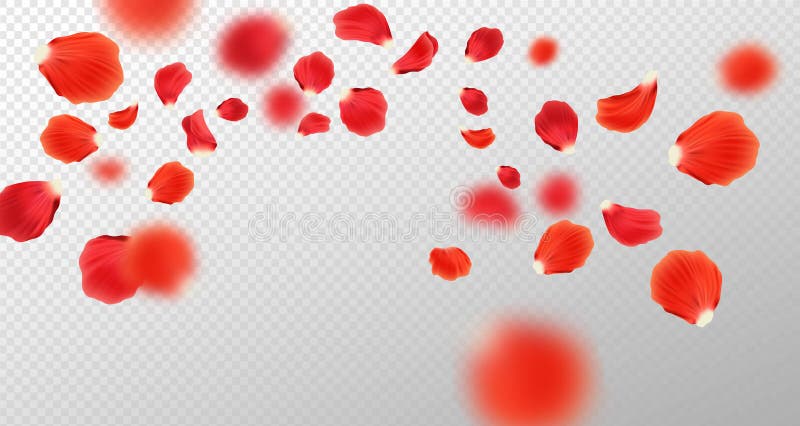 Red Rose Petals Transparent Background Stock Illustrations – 726 Red ... Red Rose Petals Transparent Background Stock Illustrations – 726 Red ...