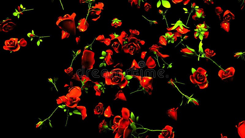 Falling Red Roses on Black Background Stock Footage - Video of vain ...
