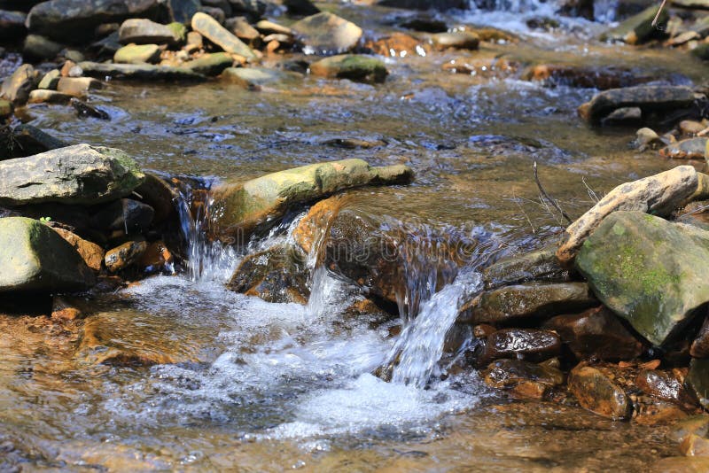 Falling River Water Creates a Cascade Stock Image - Image of forest ...