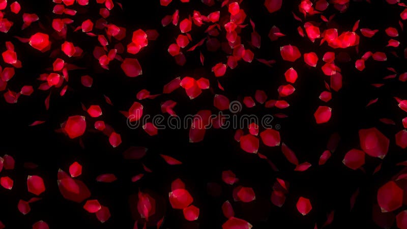 Falling rose petals stock video footage. Video of background - 36920429