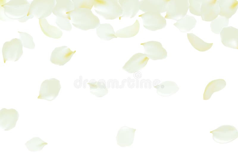 Falling Rose Petals Soft Delicate Yellow Blossom Flying Flowers. 3d ... Falling Rose Petals Soft Delicate Yellow Blossom Flying Flowers. 3d ...