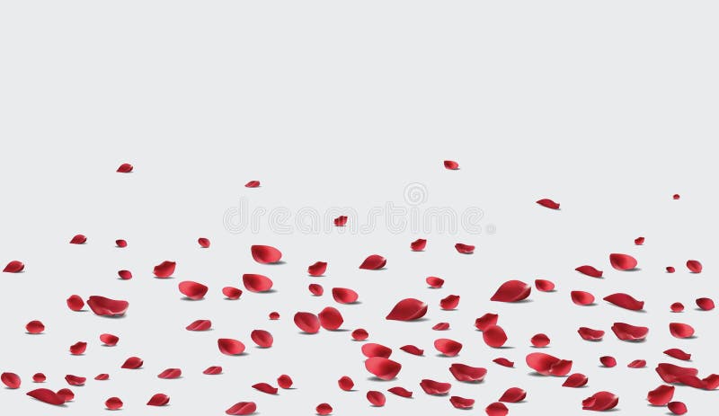 Falling Rose Petals Vector Illustration. Red Rose Petals on Fake ...
