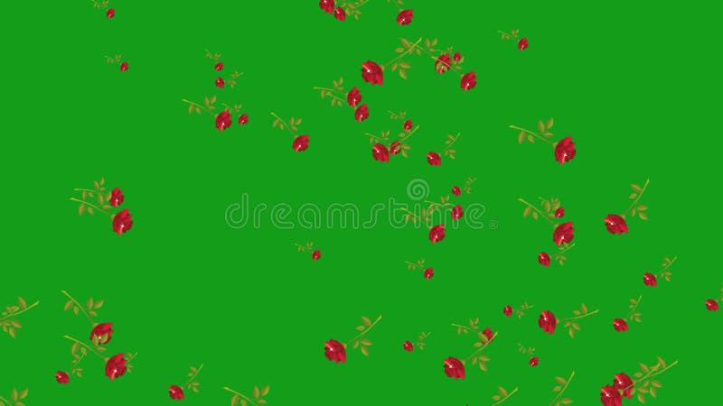 Flowers Falling on Green Screen Stock Video - Video of orange, green ...