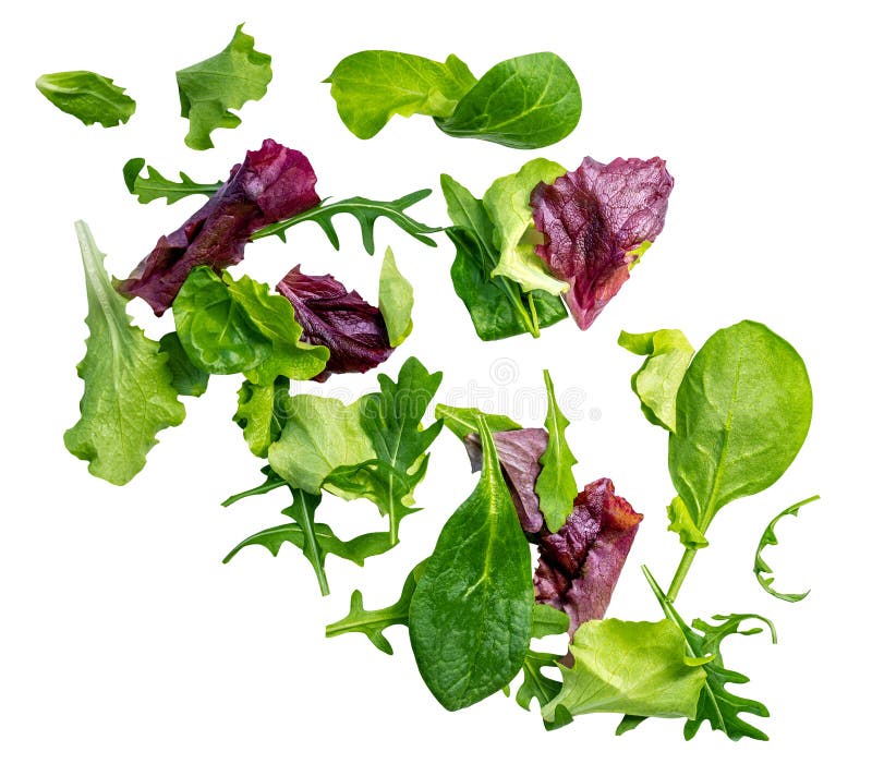 Falling Salad Leaves Isolated on White Background. Fresh Mixed Salad ...