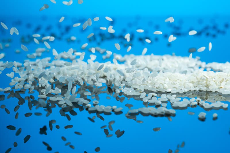 Falling Seeds Crushed Round Rice for Porridge Stock Image - Image of ...