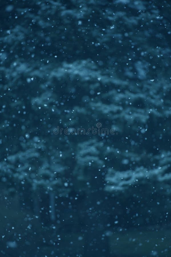 Falling snow stock photo. Image of snow, falling, line - 347020
