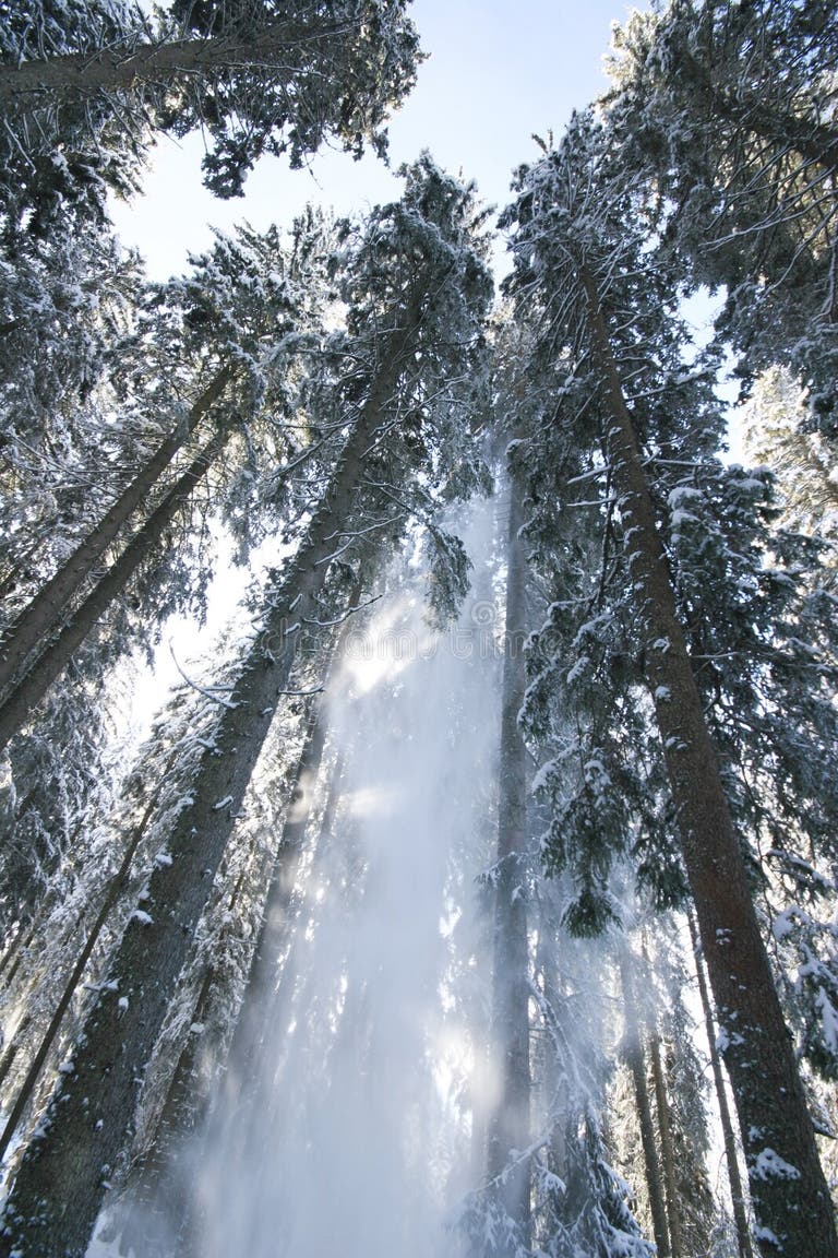 18,433 Falling Snow Color Stock Photos - Free & Royalty-Free Stock ...