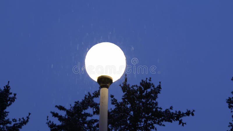Falling Snow on the Background of a Street Lamp Stock Video - Video of ...