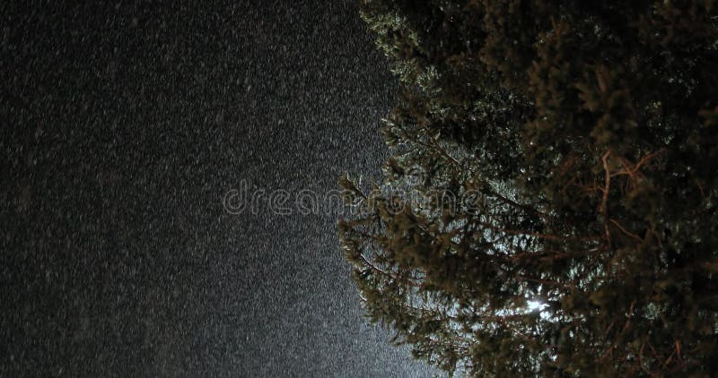 Falling snow at night stock video. Video of slowly, evening - 207898957