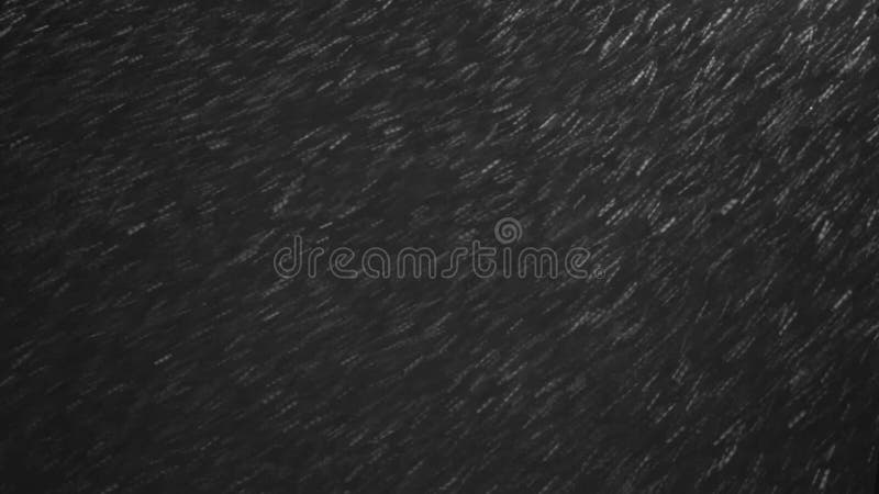 Falling Snow Fall Blowing Fast in Night Winter Blizzard Stock Video ...