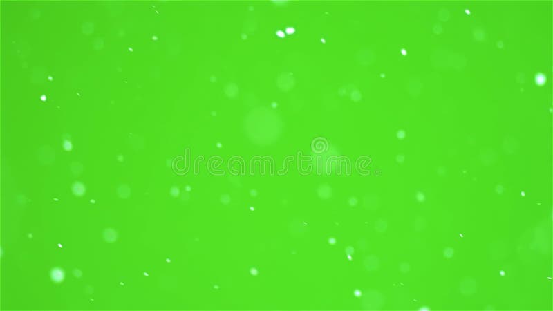 Falling Snow on Green Screen Background Winter Overlay Stock Video ...