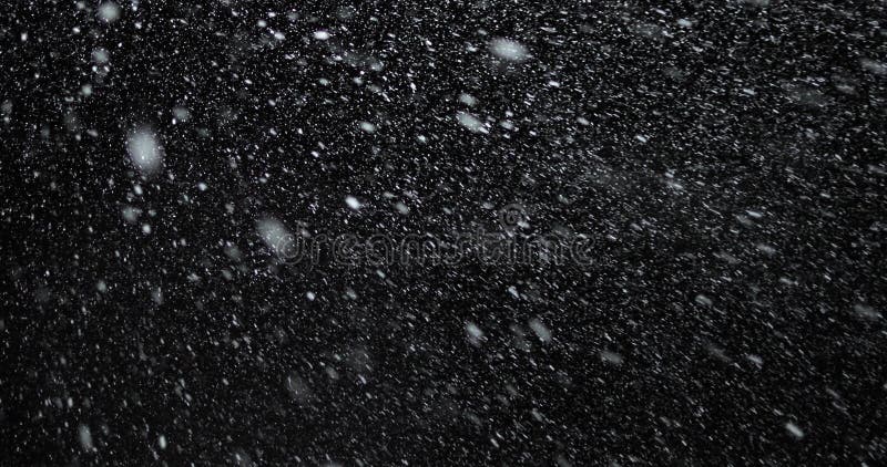 Falling snow at night stock footage. Video of flake - 172701714