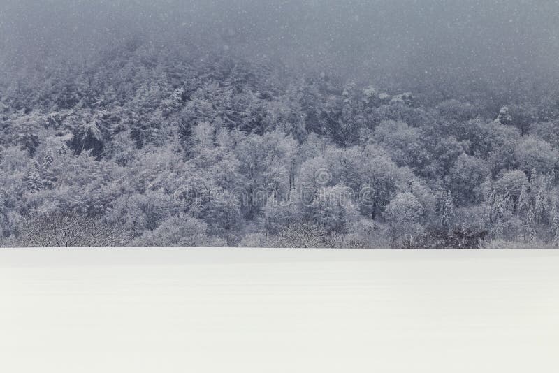 Falling Snow Over White Fields Background Stock Photo - Image of frost ...