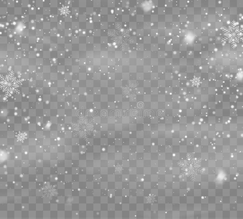 Snow Overlay on Transparent Background. Vector Falling Snowflakes ...