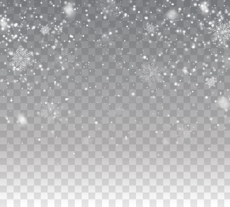 Snow Overlay on Transparent Background. Vector Falling Snowflakes ...
