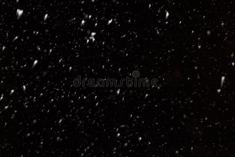 Falling snowflake stock photo. Image of branches, design - 132473500
