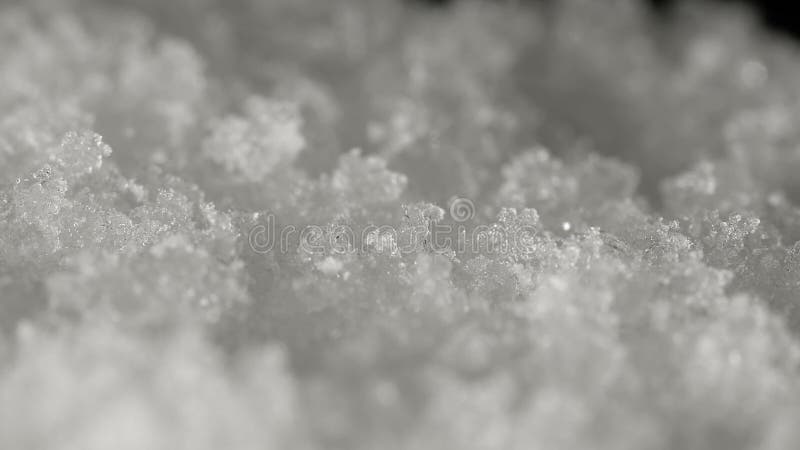 Snow Accumulating on Exterior Window Sill during Heavy Winter Snowfall ...