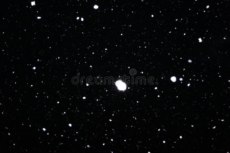 Falling Snowflakes on Night Sky Stock Image - Image of evening ...