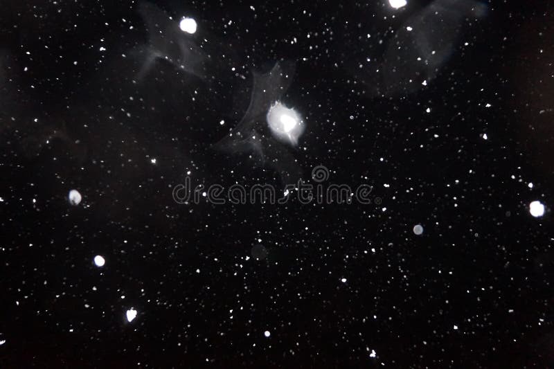 Falling Snowflakes on Night Sky Stock Photo - Image of particles, flake ...