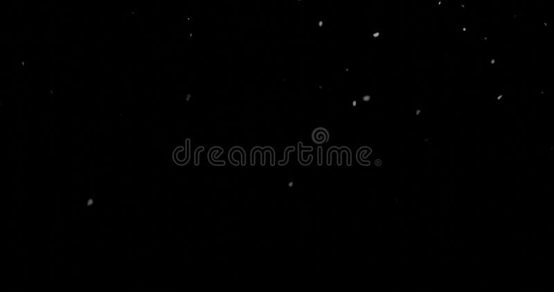 Falling Snowflakes Animation Loop with Alpha Channel Birds Eye View ...