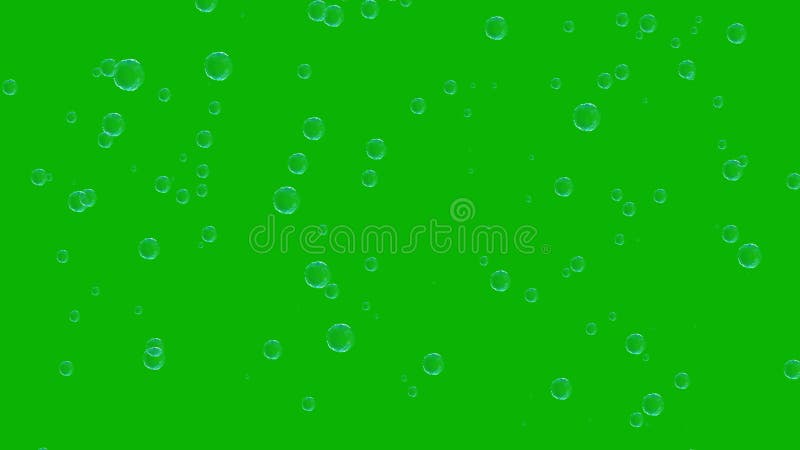 Falling Soap Bubbles Effect Down (Chroma Key). 4K Animation. Stock ...