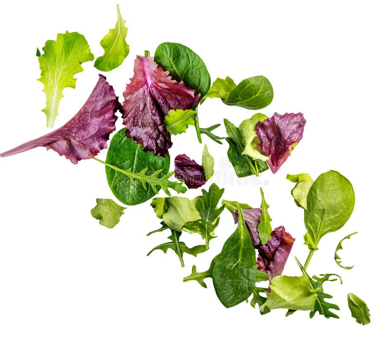Falling Spring Mix Leaves Isolated on White. Explosion of Fresh Salad ...