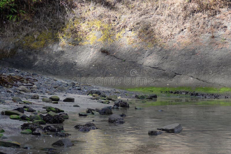 Falling tide stock photo. Image of coast, tide, oregon - 100818404