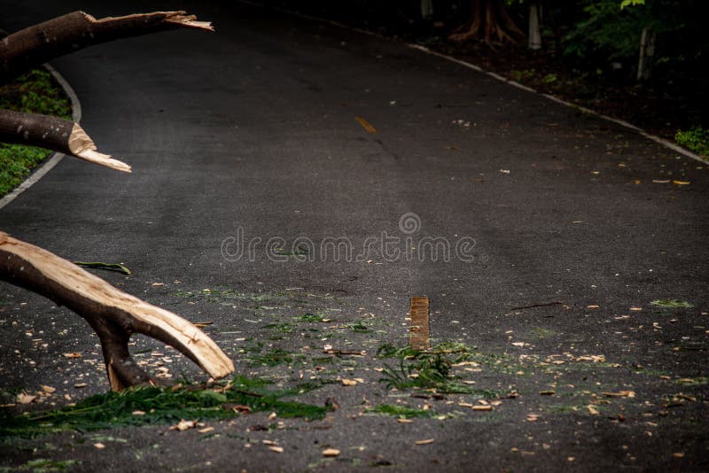 7,179 Debris Road Stock Photos - Free & Royalty-Free Stock Photos from ...