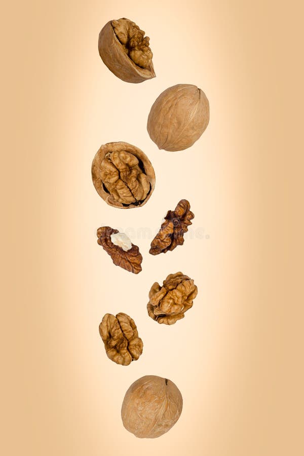 Falling Walnuts Isolated on a Colored Background with Clipping Path As ...