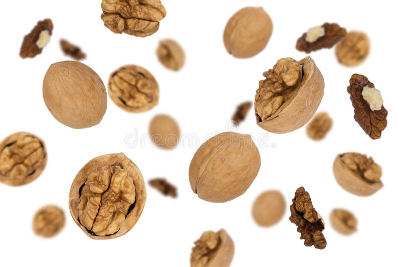 Falling Walnuts Isolated on a White Background with Clipping Path As ...