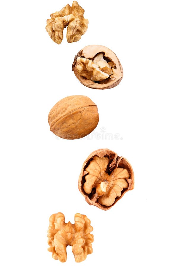 Falling Walnuts Isolated on a White Background with Clipping Path As ...
