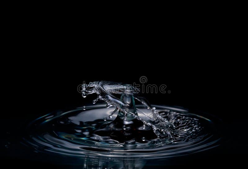 Falling water drop stock image. Image of water, circle - 217825565