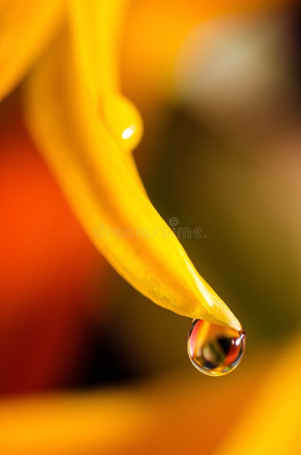 Falling water drop stock photo. Image of happiness, colourful - 39565990