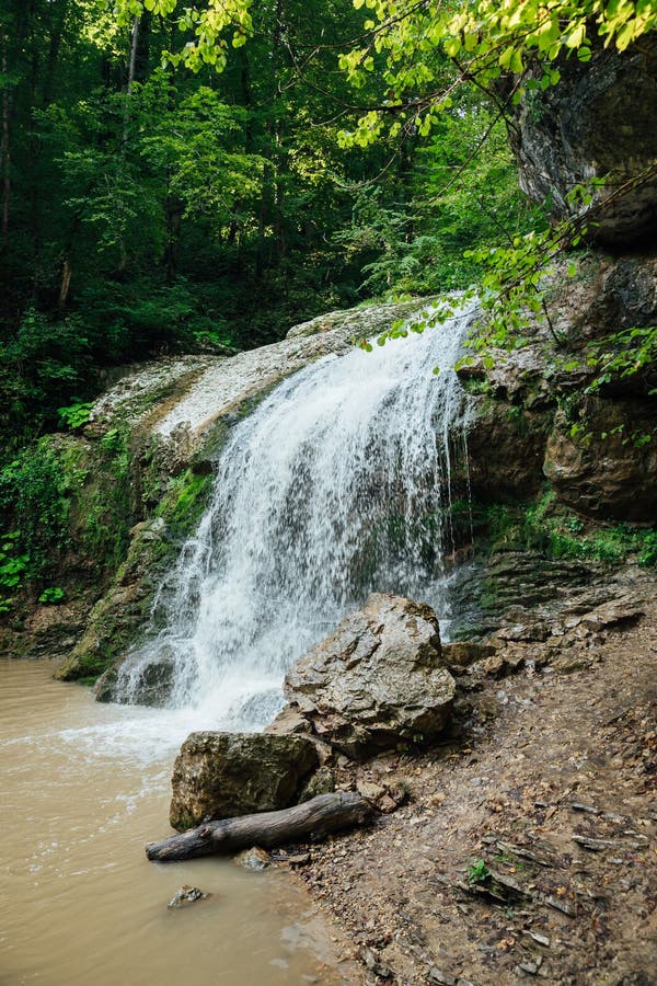 Falling Water of Forest Waterfall in Mountain Forest Landscape Stock ...
