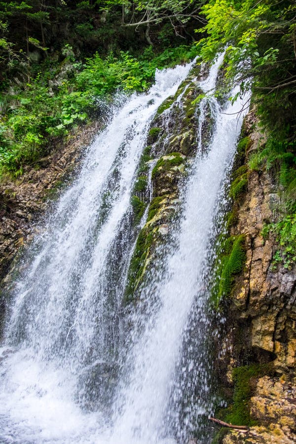 Falling water stock photo. Image of waterfall, green - 83553884