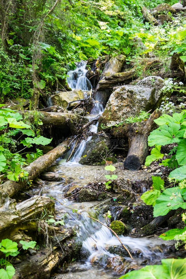 Falling water stock photo. Image of summer, falling, splash - 83554076