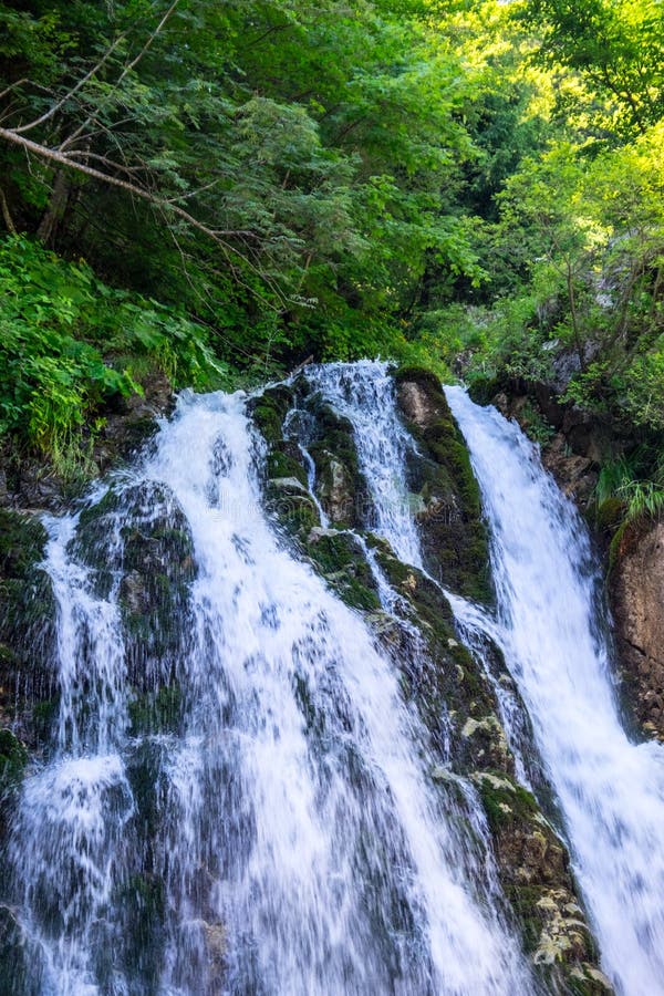 Falling water stock image. Image of moss, spring, flow - 83555477
