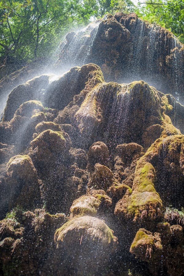 Falling water stock image. Image of waterfall, branch - 51614545