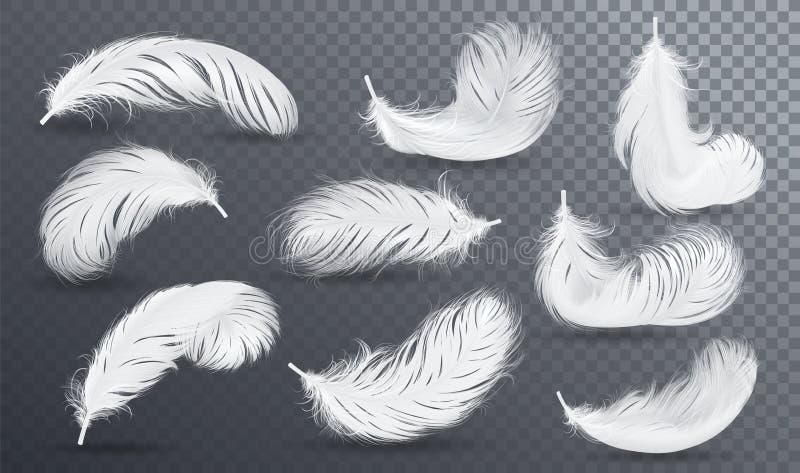 Falling Feather Icon Stock Illustrations – 855 Falling Feather Icon ...