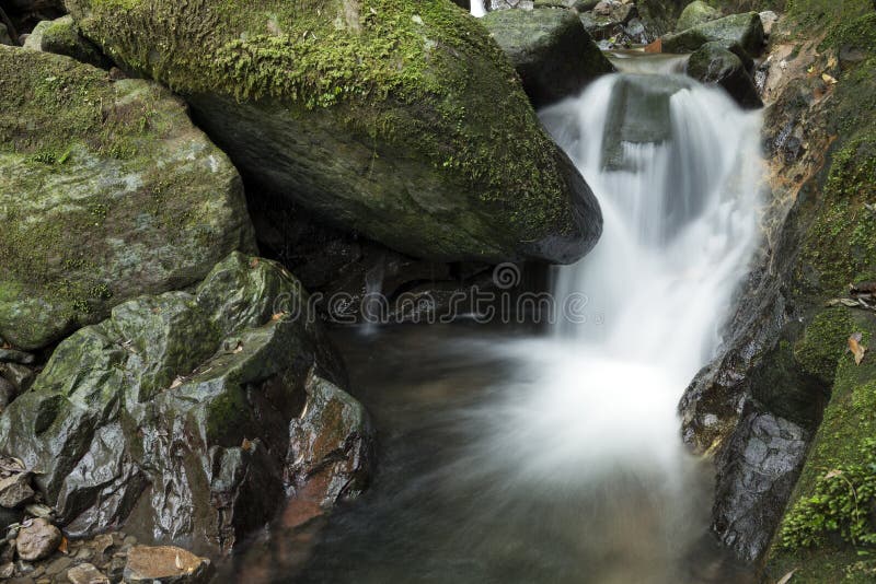 Falling white narrow brook stock photo. Image of rural - 124406670