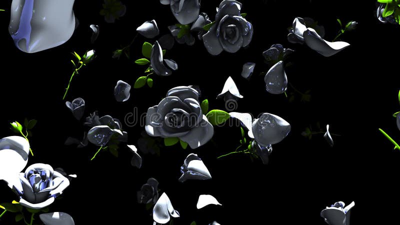 Falling White Roses on Black Background Stock Footage - Video of vain ...