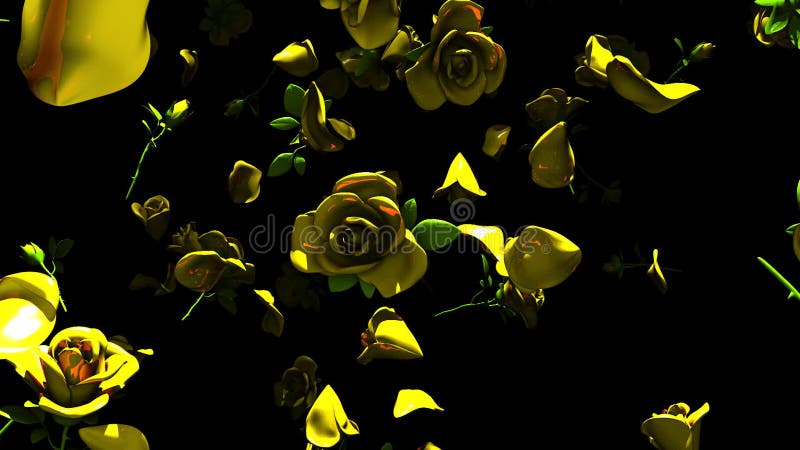 Falling Yellow Roses on Black Background Stock Video - Video of ...