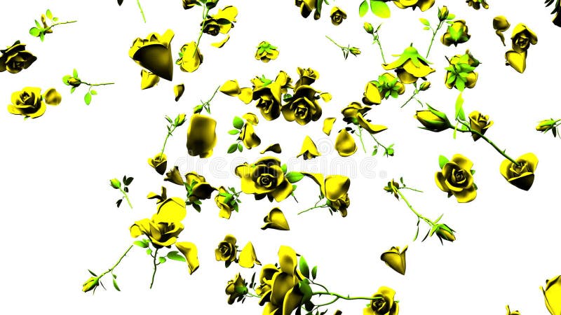 Falling Yellow Roses on White Background Stock Video - Video of white ...