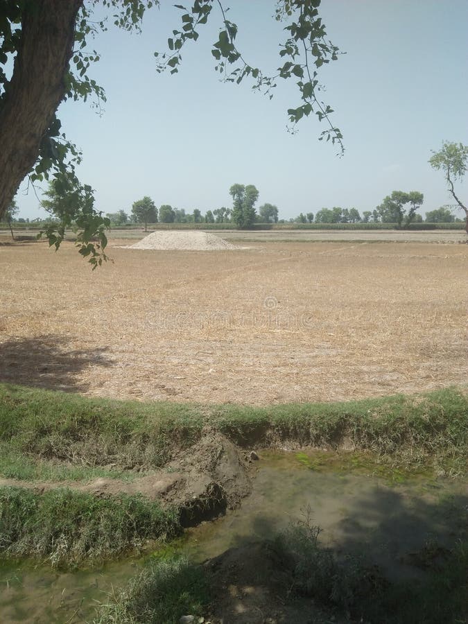 Fallow cultivation stock image. Image of fallow, cultivation - 117069169