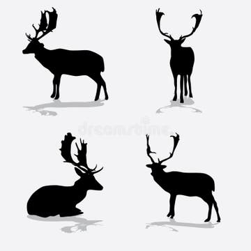 Fallow Deer Vector Stock Illustrations – 334 Fallow Deer Vector Stock ...