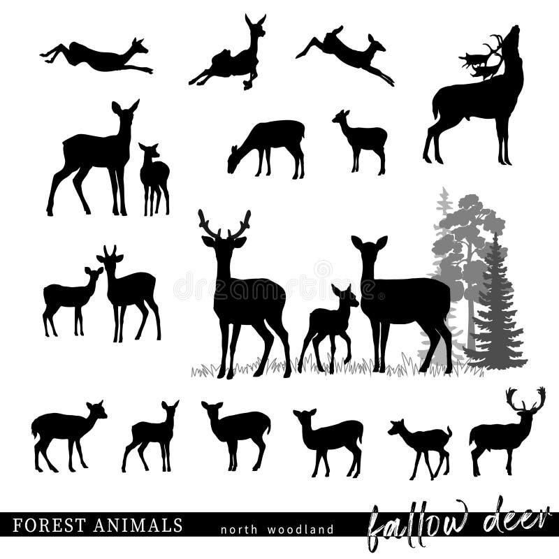 Fallow Deer Silhouettes with Wildlife Scene. Stock Vector ...