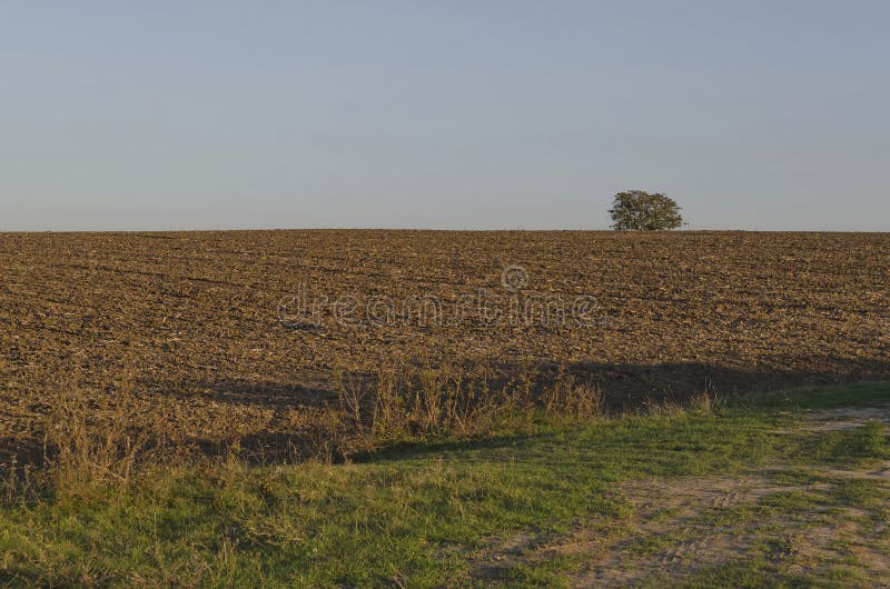 Fallow farming field stock image. Image of farm, view - 10651539