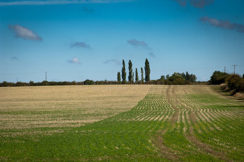 Fenland Farm stock photo. Image of beneath, farm, summer - 77012858